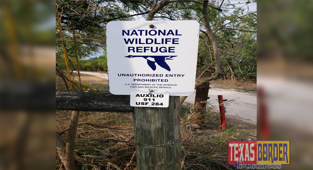 Missing Migrant Program Expands Life-Saving Efforts in South Texas ...