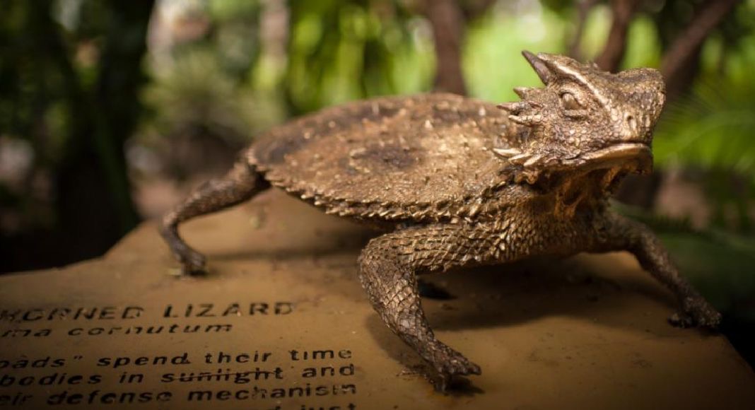 State Reptile of Texas Bronze at Quinta Mazatlán - Texas Border Business