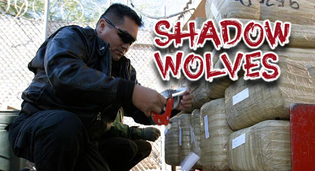 Needed Improvements to Shadow Wolves Authority to Secure Southern ...