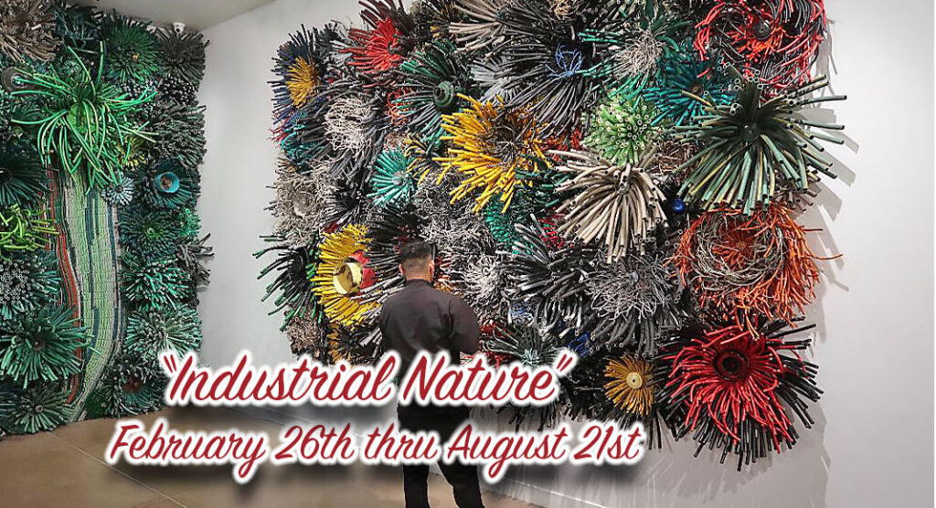 Industrial Nature by Michelle Stitzlein at IMAS - Texas Border Business